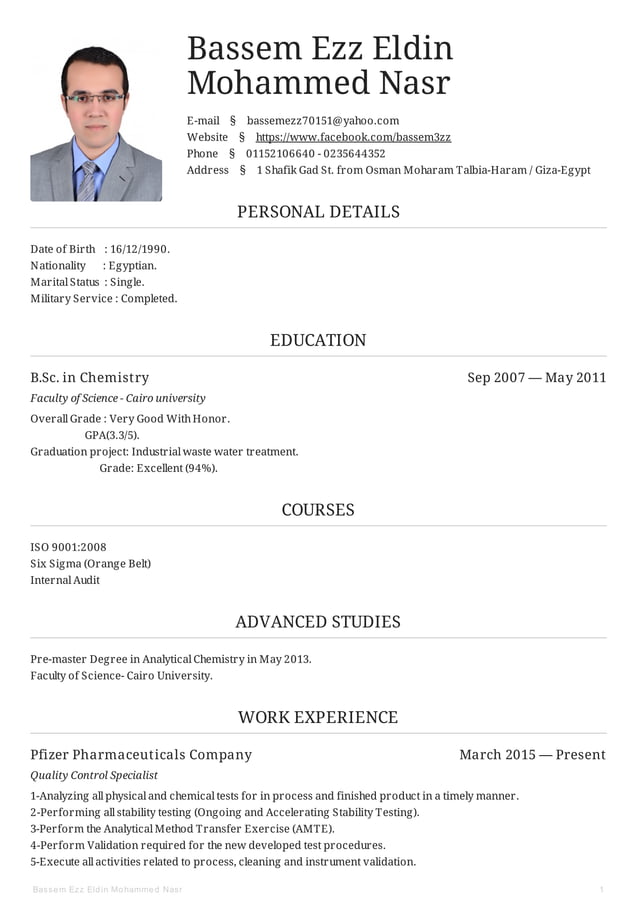 Bassem_CV (6) | PDF