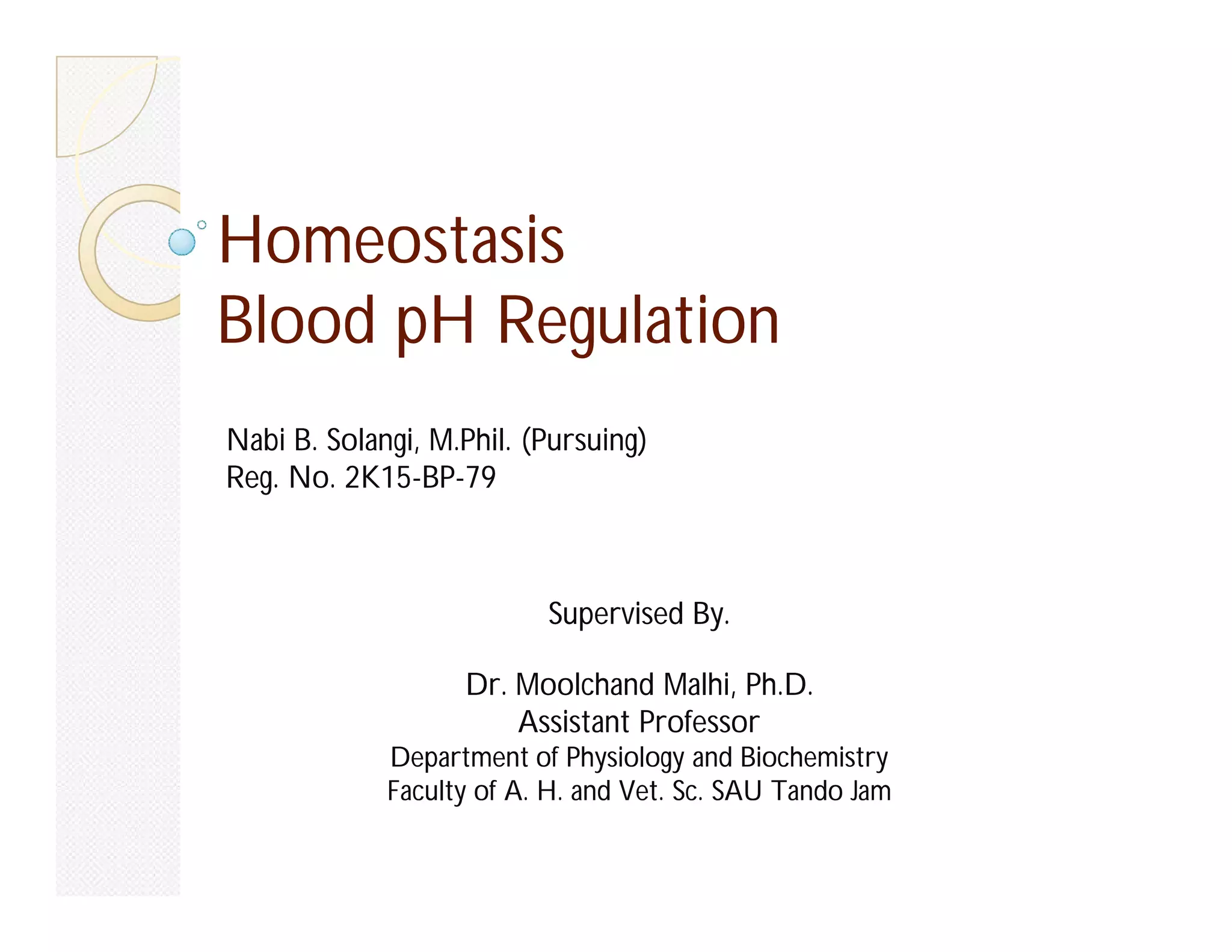Homeostasis and blood pH regulation, Mubasher | PDF