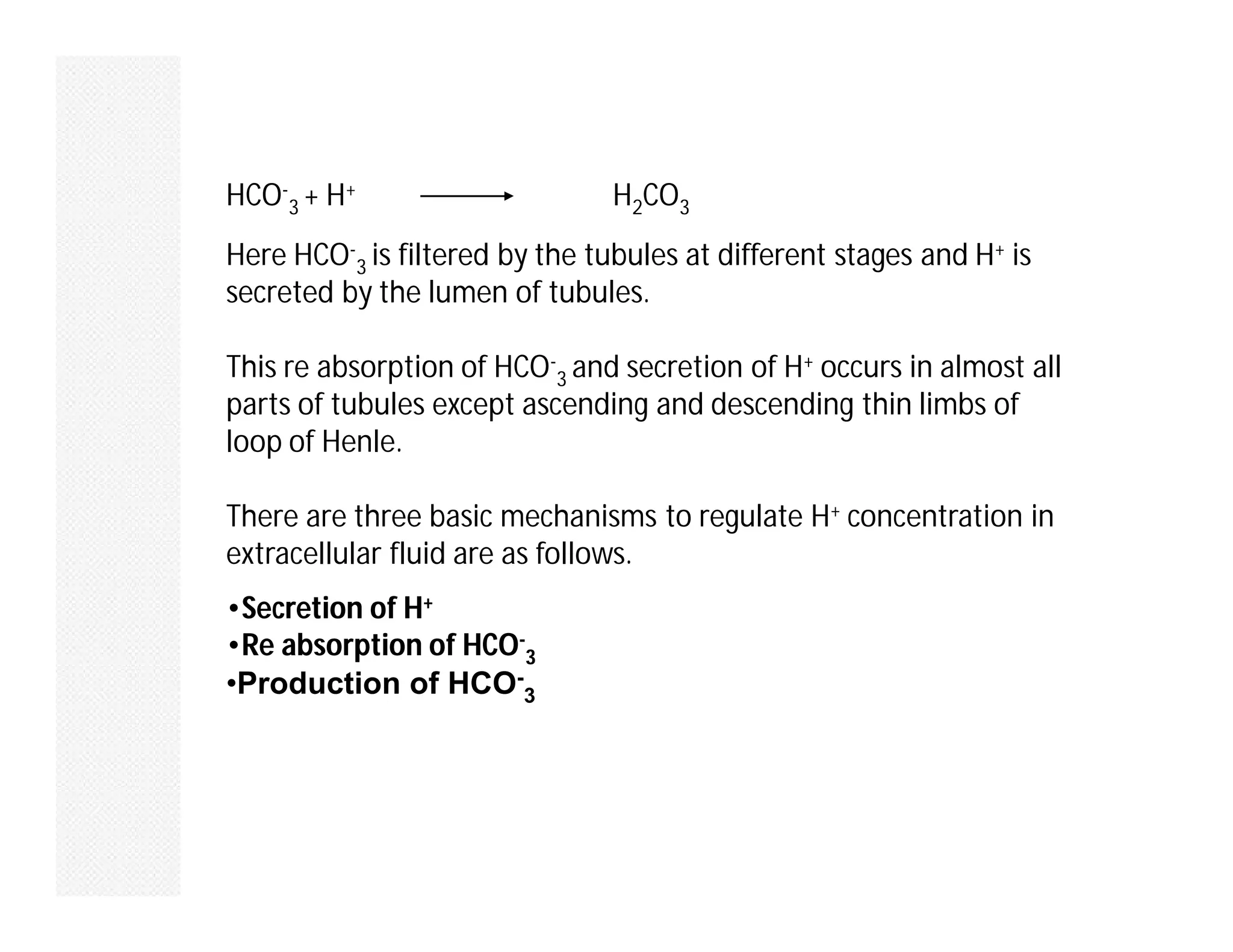Homeostasis and blood pH regulation, Mubasher | PDF