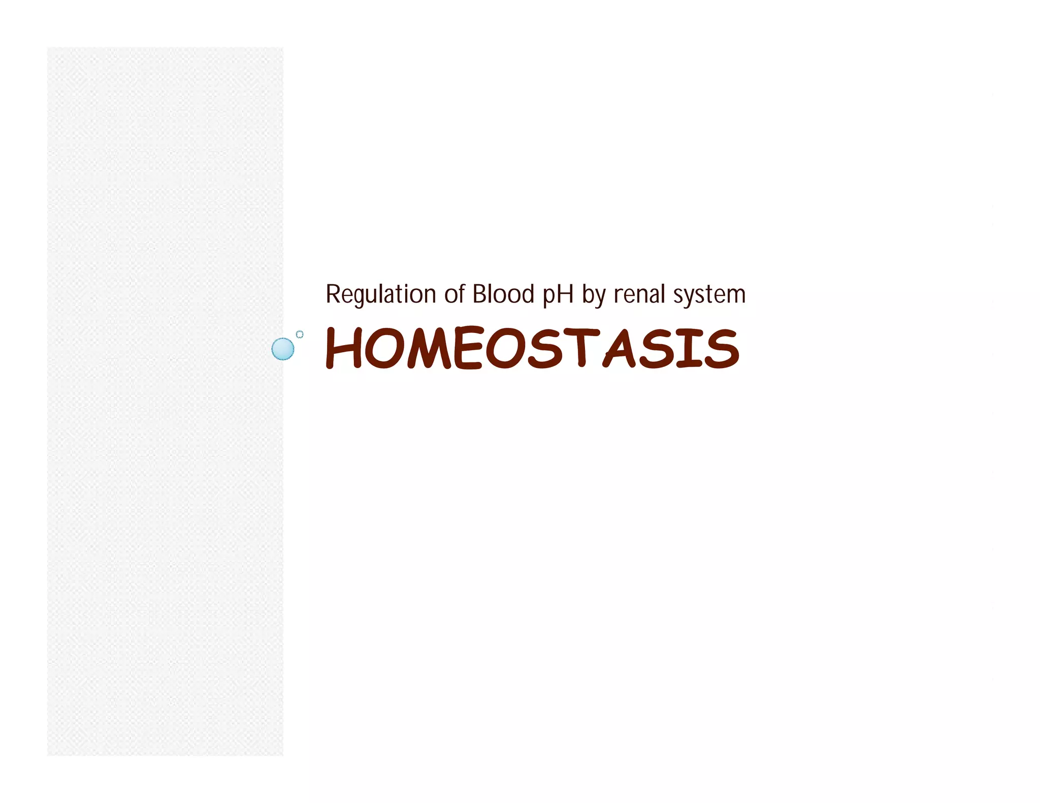 Homeostasis and blood pH regulation, Mubasher | PDF