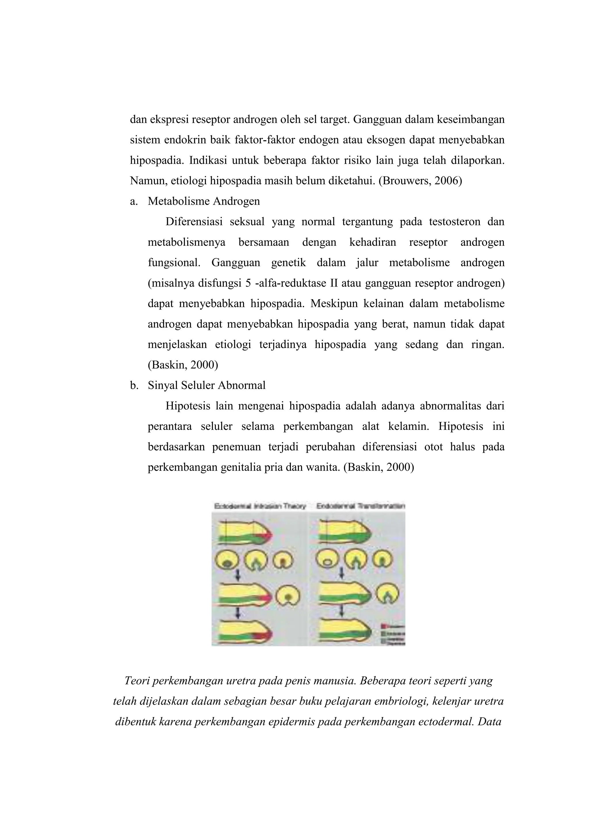 70233922-HIPOSPADIA.doc