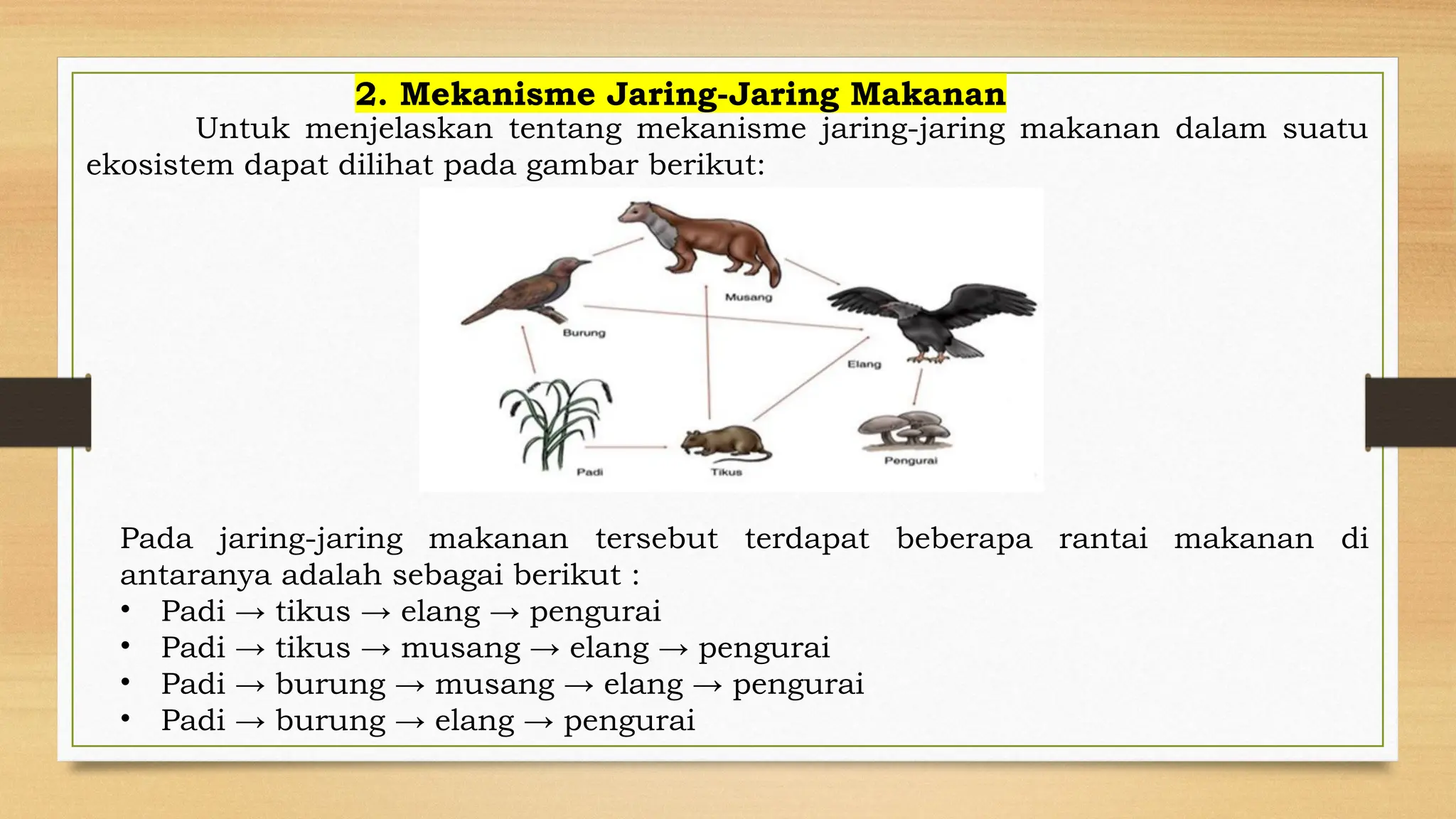 702473657-Ppt-Ekosistem-Rantai-Dan-Jaring-jaring-Makanan.pptx