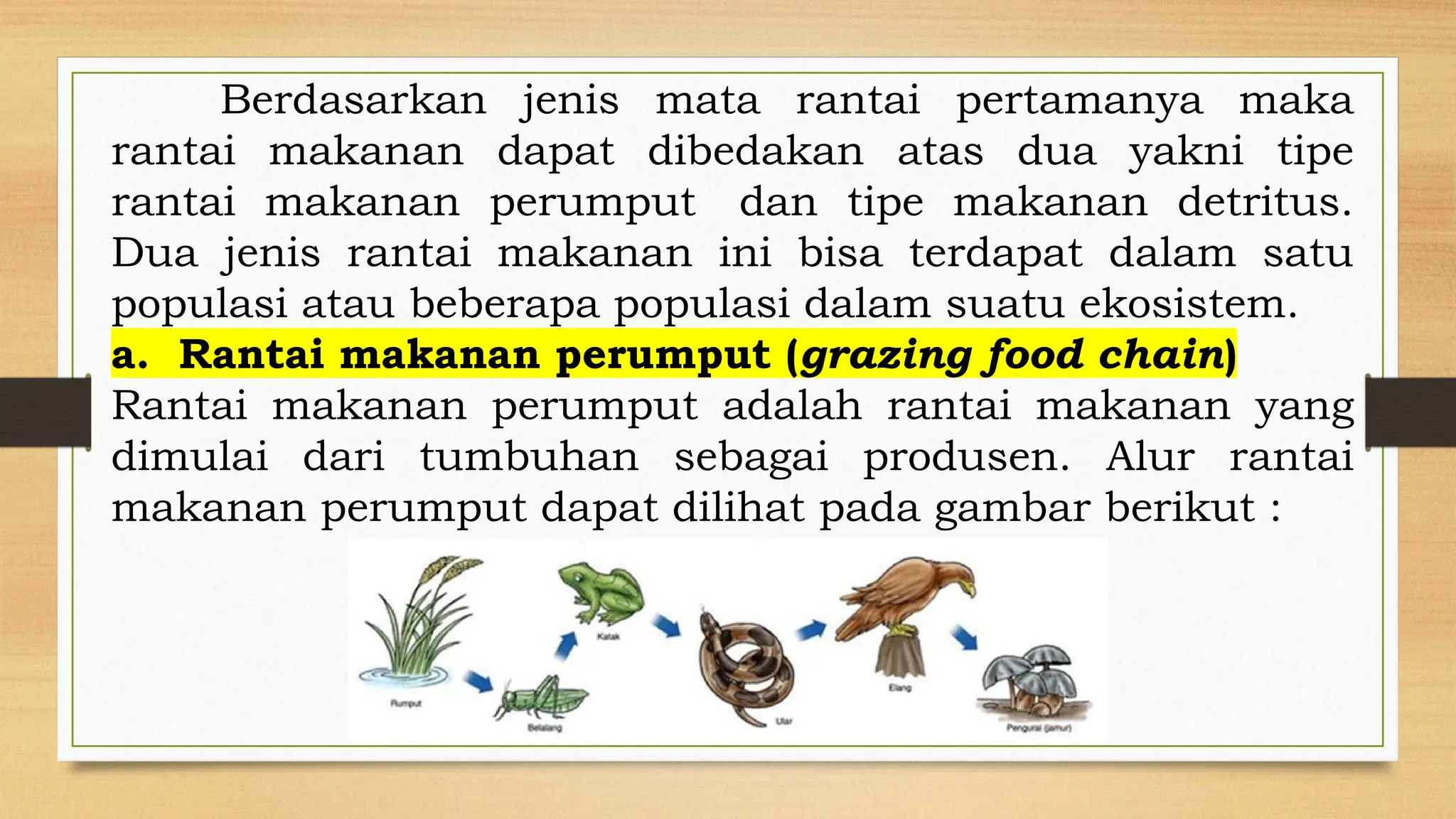 702473657-Ppt-Ekosistem-Rantai-Dan-Jaring-jaring-Makanan.pptx