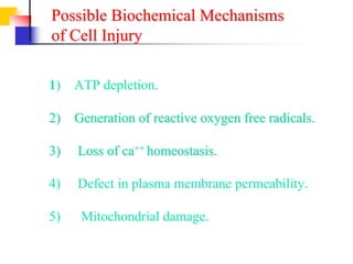 general principle of cell energy12312.ppt