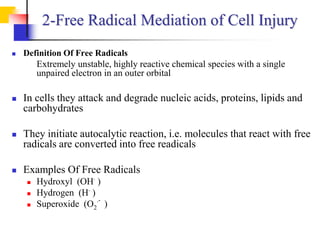 general principle of cell energy12312.ppt
