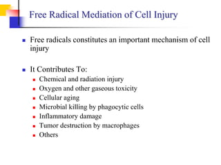 general principle of cell energy12312.ppt