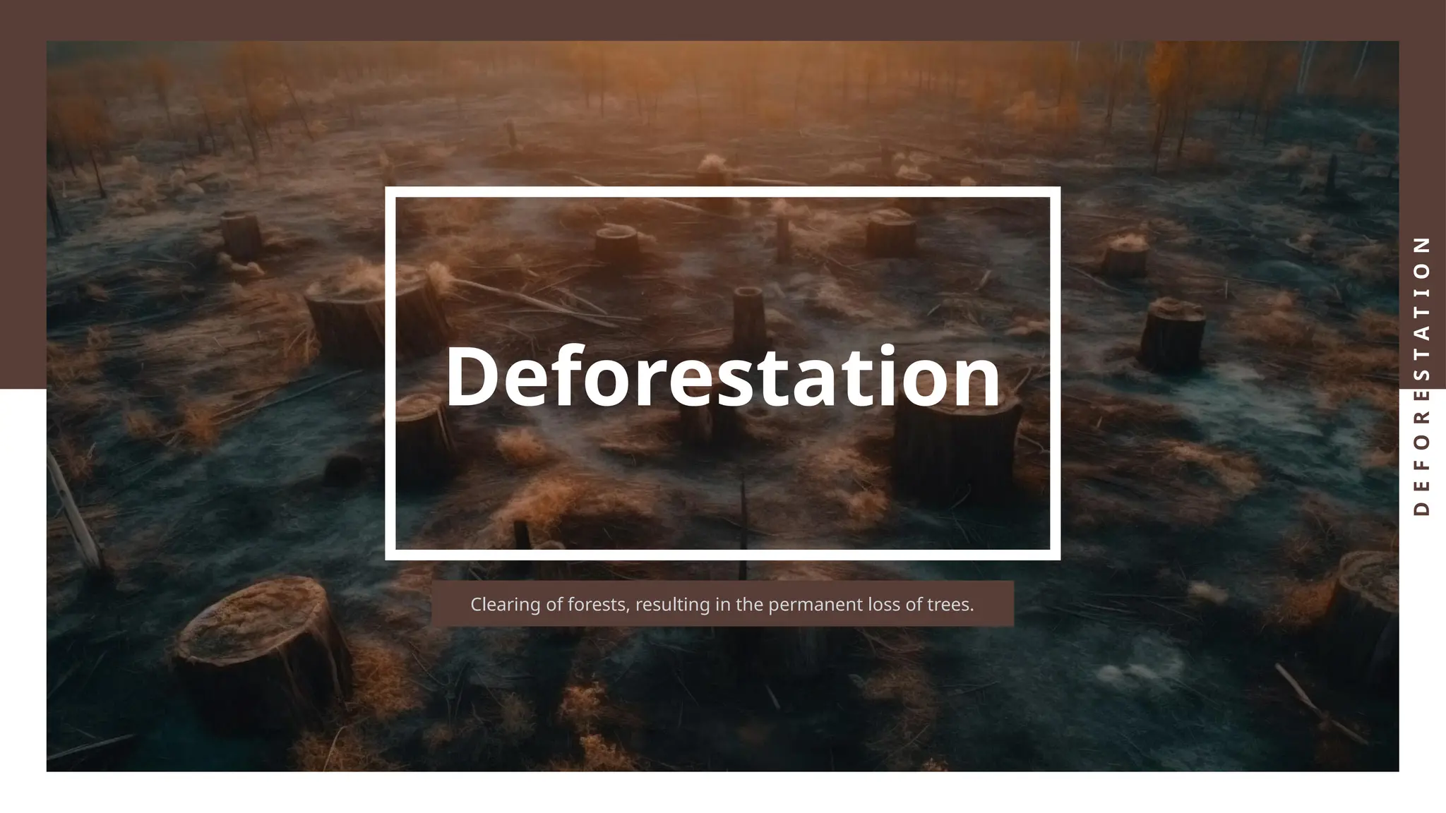 Deforestation PowerPoint Templates Free Download.pptx