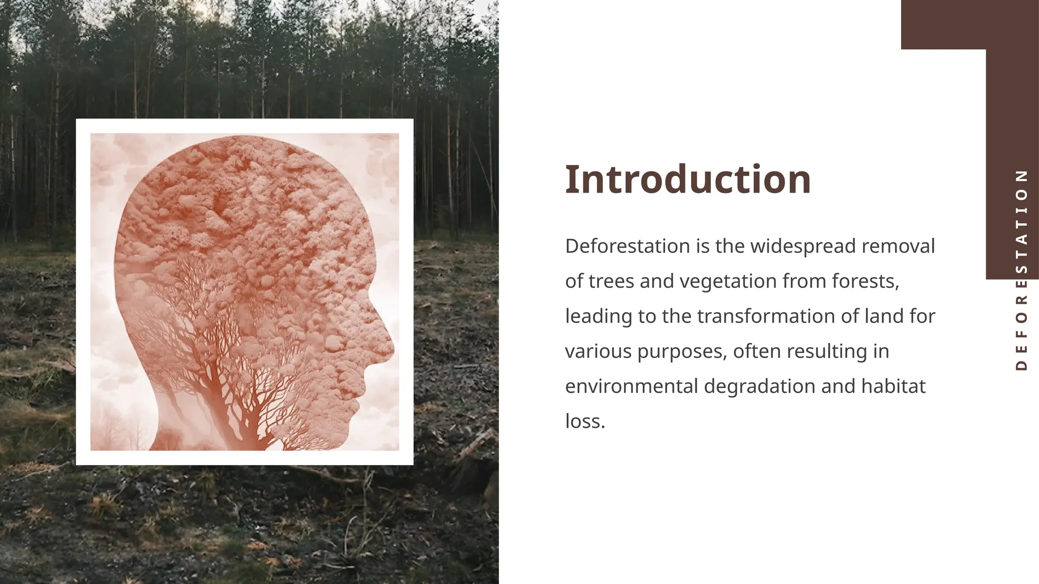 Deforestation PowerPoint Templates Free Download.pptx