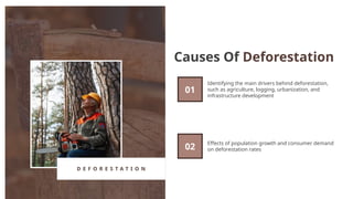 Deforestation PowerPoint Templates Free Download.pptx