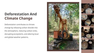 Deforestation PowerPoint Templates Free Download.pptx