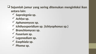 703944275-PENYAKIT-PADA-IKAN-AIR-TAWAR-PENANGGULANGANNYA.pptx