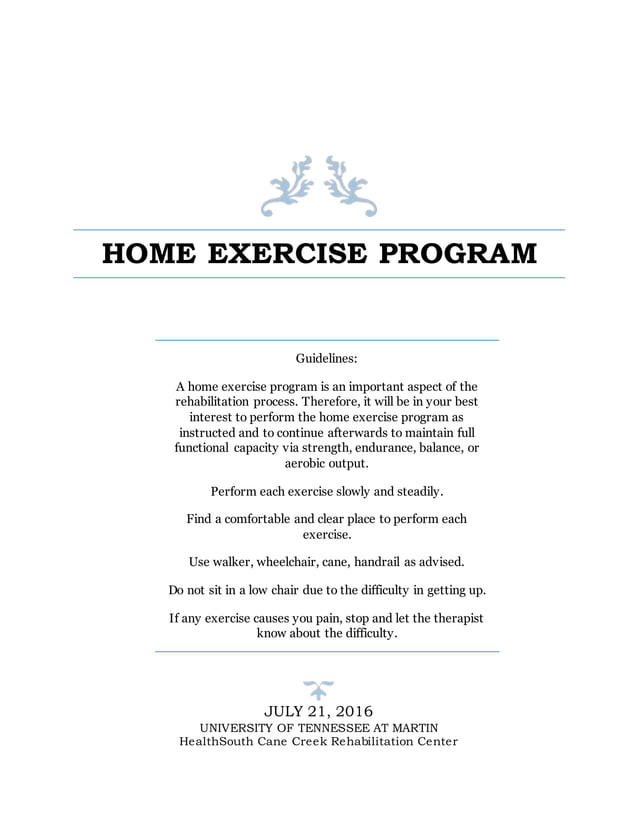 Intern Home Exercise Program | PDF