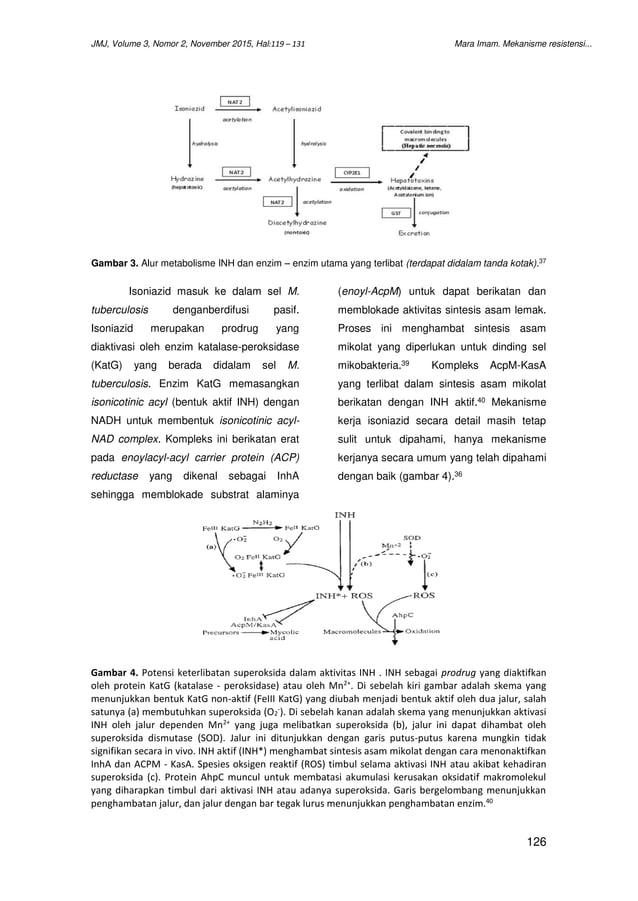 70487 id-mekanisme-resistensi-isoniazid-mutasi-ge | PDF