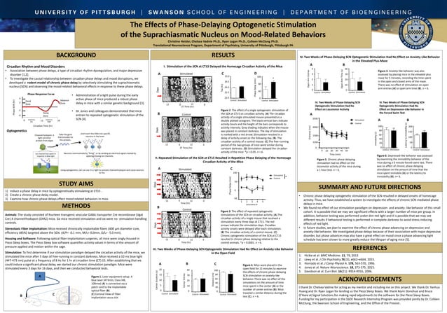 BioE Poster Template (30w by 21h) | PPT