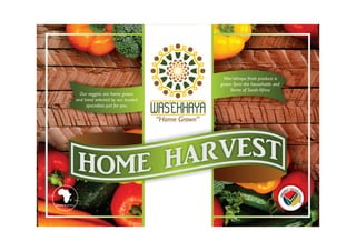 Edward Portfolio | PPT