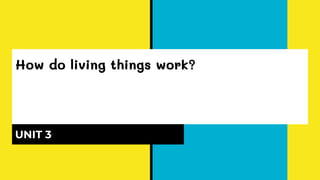 705234592-MYP-1-UNIT-3-How-do-living-things-work.pdf