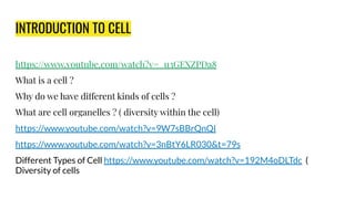705234592-MYP-1-UNIT-3-How-do-living-things-work.pdf