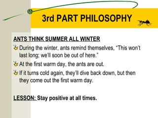 The Ant Philosophy | PPS