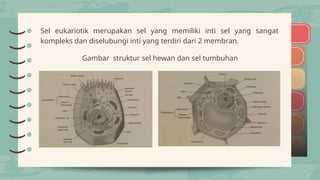 705873818-PPT-SEL.pptxbioolohoogoogokgkmf | PPTX