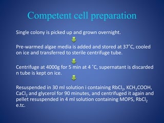molecular biology techniques -jaypee university of information ...
