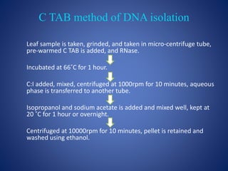 molecular biology techniques -jaypee university of information ...