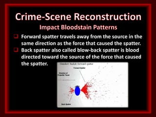 Crime Scene Reconstruction. | PPTX