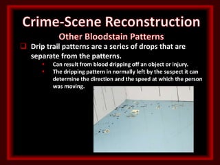 Crime Scene Reconstruction. | PPTX | Crime & Harmful Acts to ...