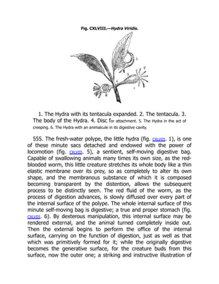 Basic Econometrics 4th Edition Damodar N. Gujarati | PDF