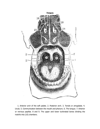 Basic Econometrics 4th Edition Damodar N. Gujarati | PDF