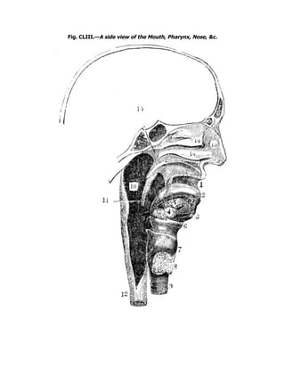 Basic Econometrics 4th Edition Damodar N. Gujarati | PDF