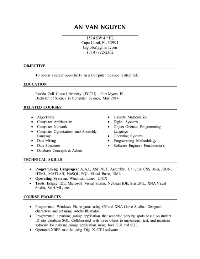 AVN Resume | PDF