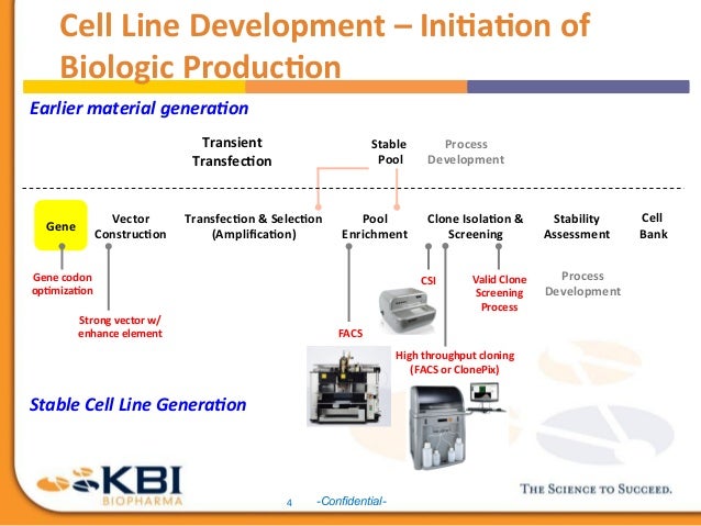 Getting Biopharmaceutical Production Processes Right the First Time