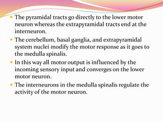 SPASTICITY | PPTX