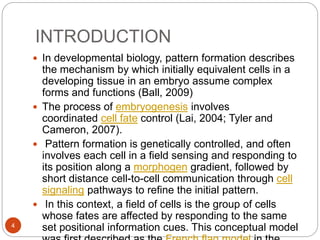 PATTERN FORMATION | PPTX