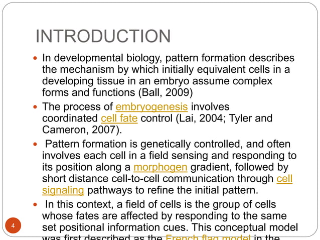 PATTERN FORMATION | PPTX | Biological Sciences | Science