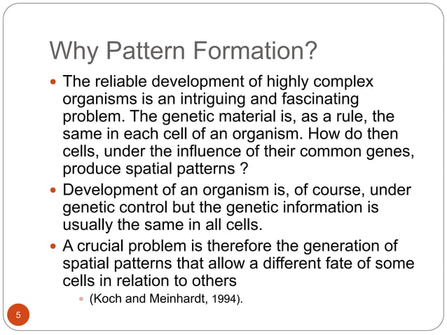 PATTERN FORMATION | PPTX | Biological Sciences | Science