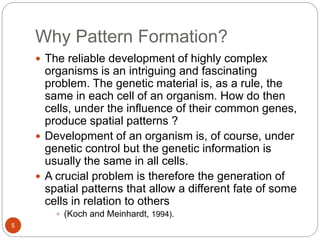 PATTERN FORMATION | PPT