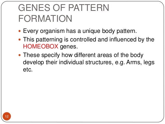 PATTERN FORMATION