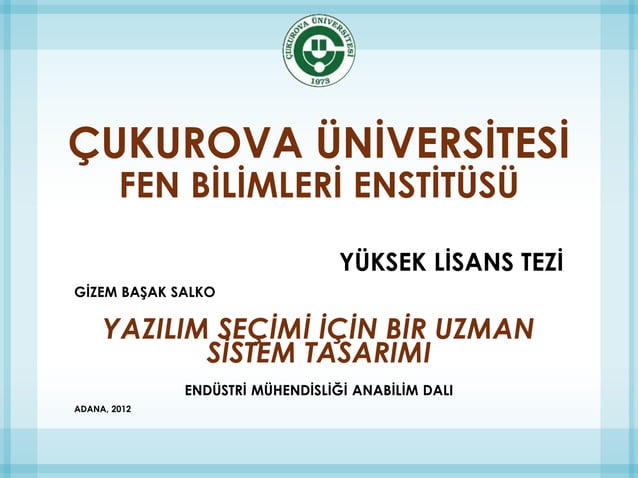 Gizem Başak Berk - Yüksek Lisans Tez Sunumu | PPTX