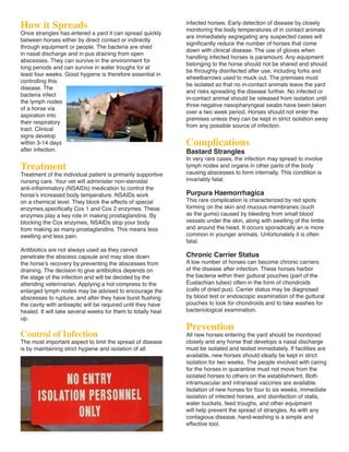 Strangles handout | PDF