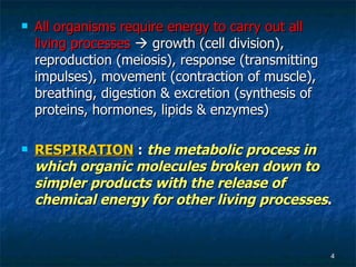 7[1].1 the respiratory process in energy production | PPT