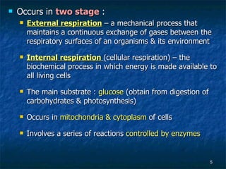 7[1].1 the respiratory process in energy production | PPT