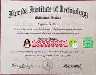 Florida Institute of Technology degree offer diploma Transcrip | PDF