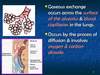 7[1].3 the concept of gaseous exchange | PPT