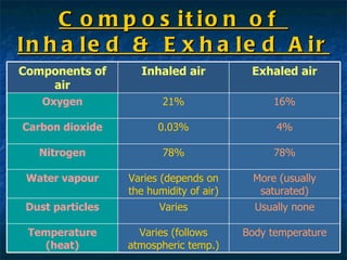 7[1].3 the concept of gaseous exchange | PPT