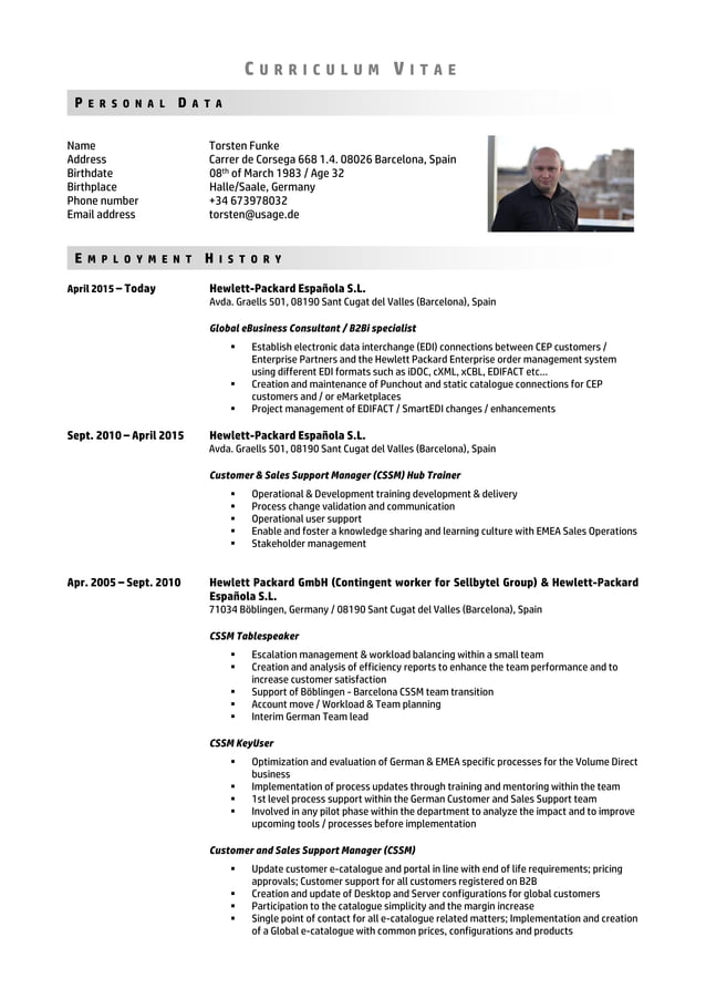 CV Torsten Funke Englisch - current | PDF | IT and Internet Support | Internet