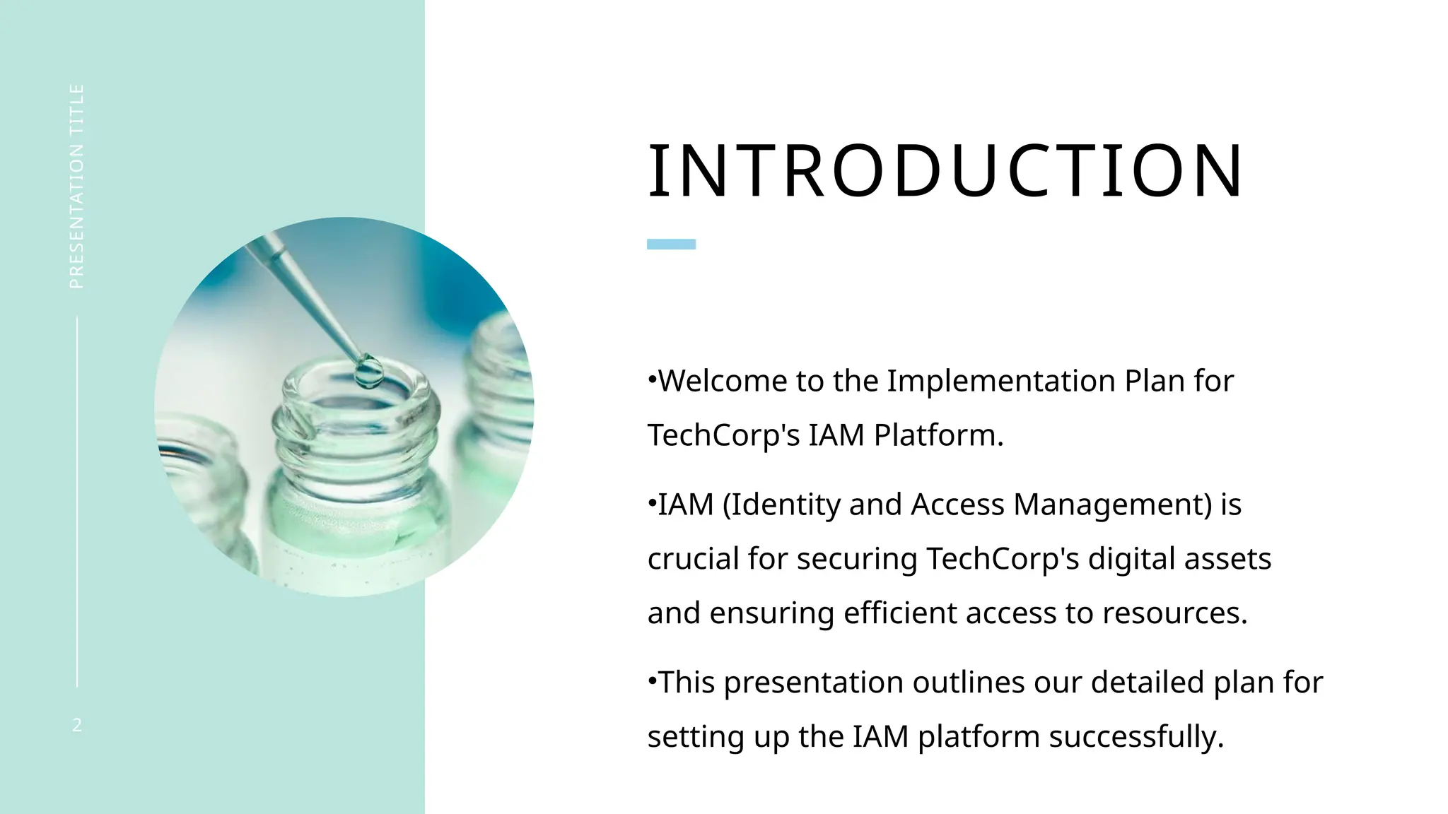 711652894-Implementation-Plan-for-TechCorp-s-IAM-Platform.pptx