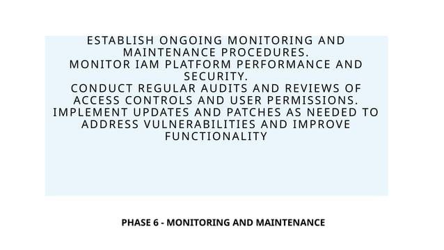 711652894-Implementation-Plan-for-TechCorp-s-IAM-Platform.pptx
