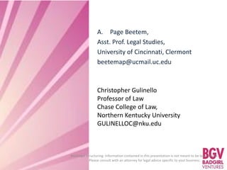 7 13 11legal structure presentation | PDF