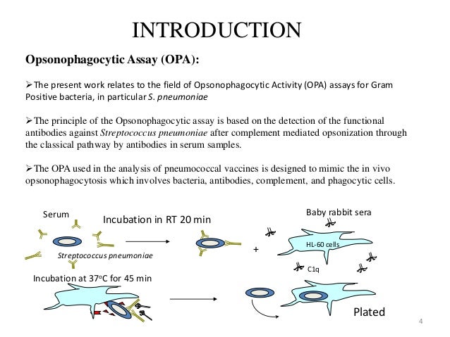 Validation of Opsonophagocytic assay for pnemococcal vaccine